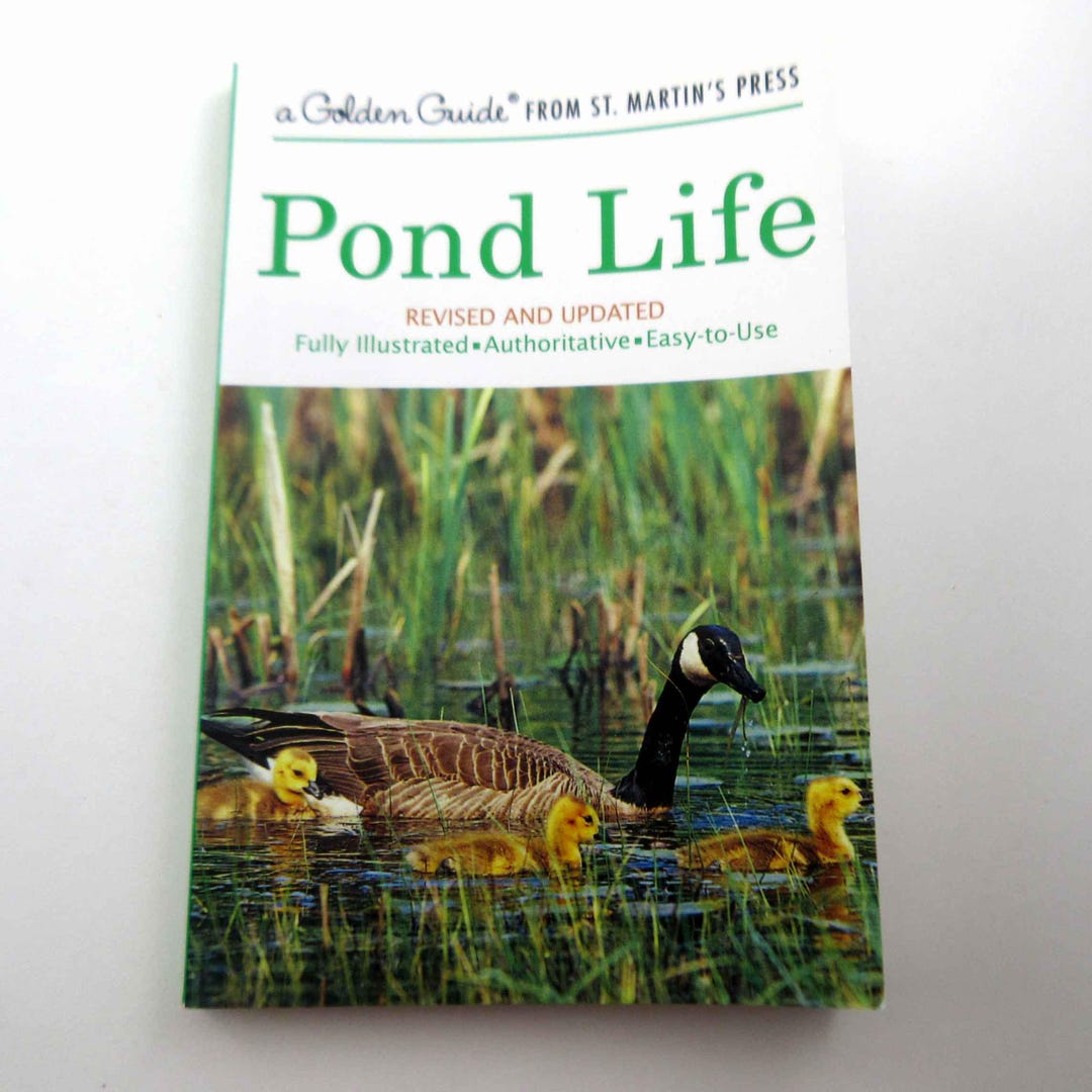 Pond Life A Guide to Common Plants and Animals of North American Ponds ...