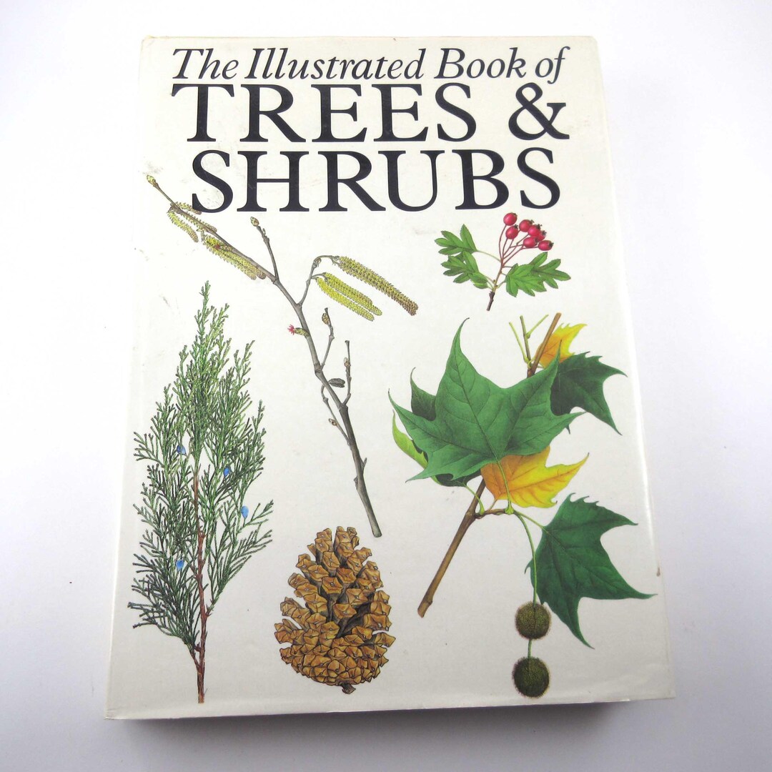 The Illustrated Book of Trees and Shrubs Vintage 1980s by Vaclav ...