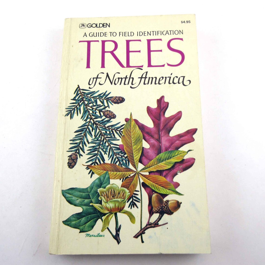 A Guide to Field Identification Trees of North America Vintage Golden ...