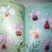 Orchids Vintage 1970s Golden Nature Guide Book by Floyd S. Shuttleworth ...
