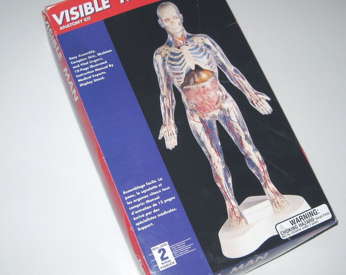 Vintage Style Visible Man Anatomy Model Kit in Original Box - Etsy
