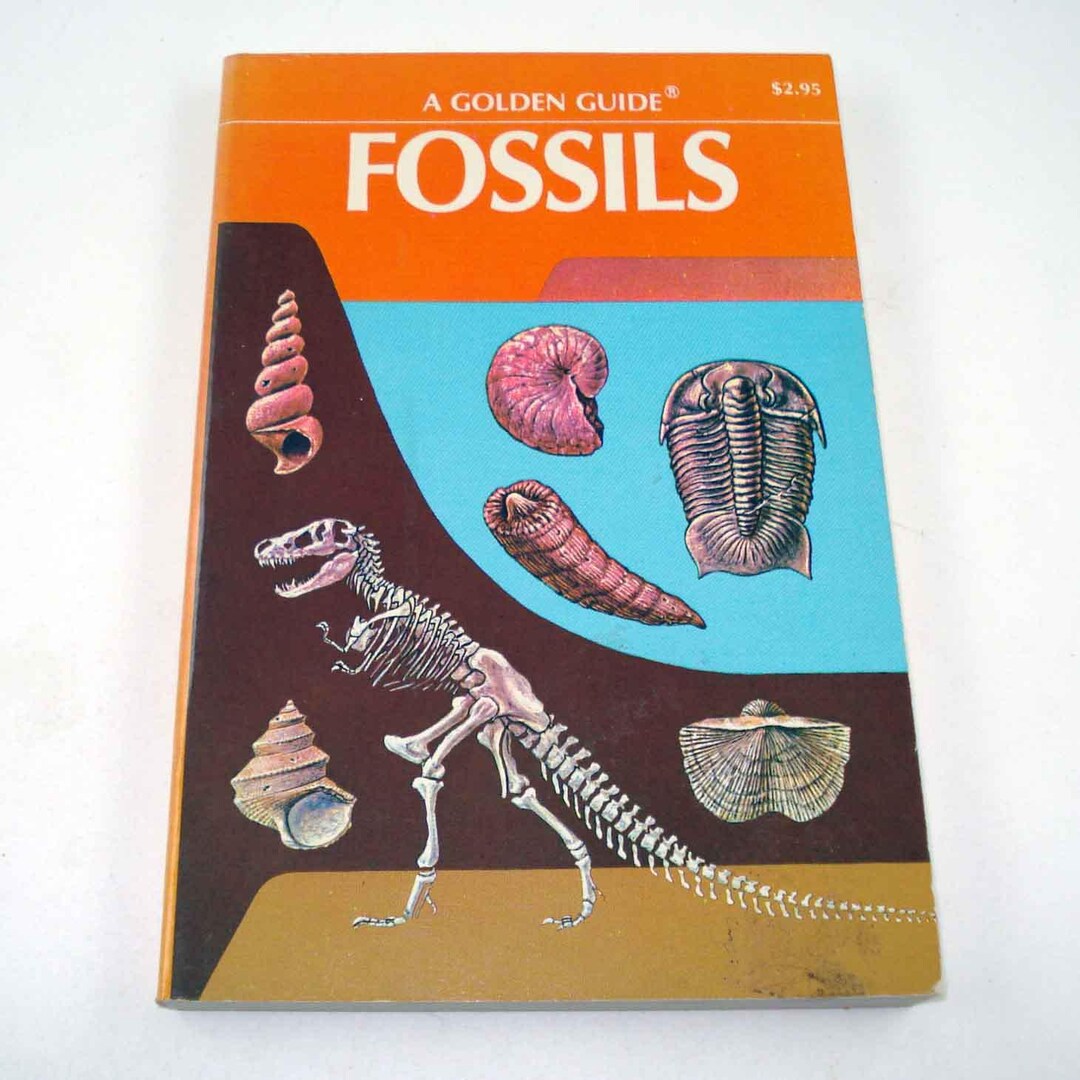 Fossils A Guide to Prehistoric Life Vintage 1960s Guide Book With ...