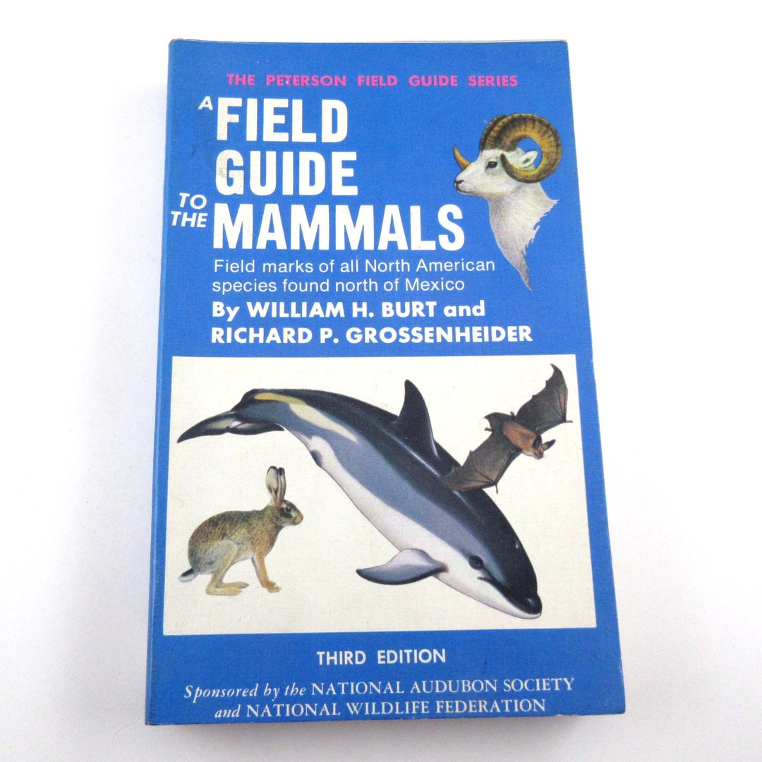 A Field Guide to the Mammals Vintage 1970s Peterson Guide Book by ...