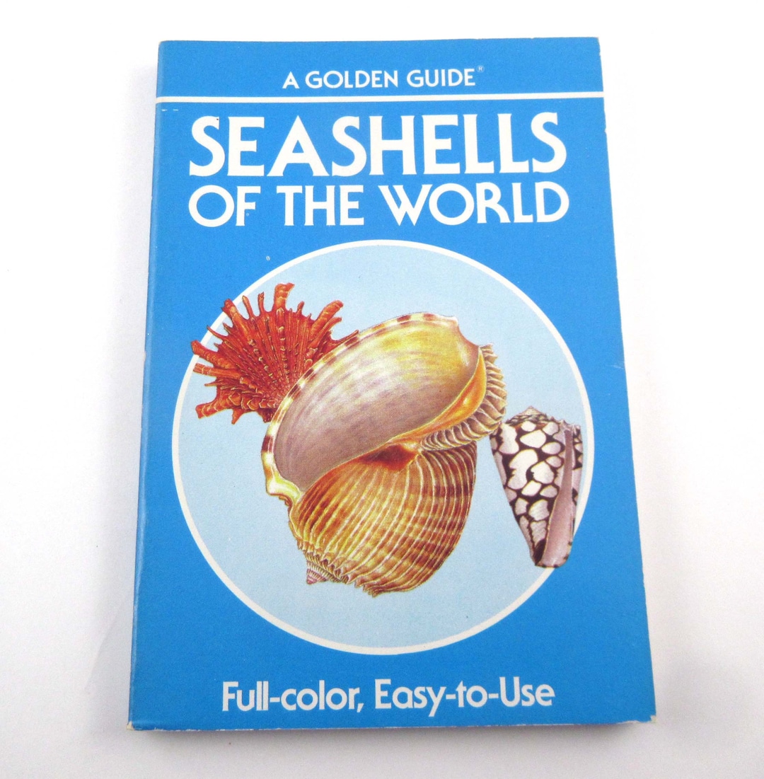 A Golden Guide Seashells of the World Vintage 1960s or 1980s Guide Book ...