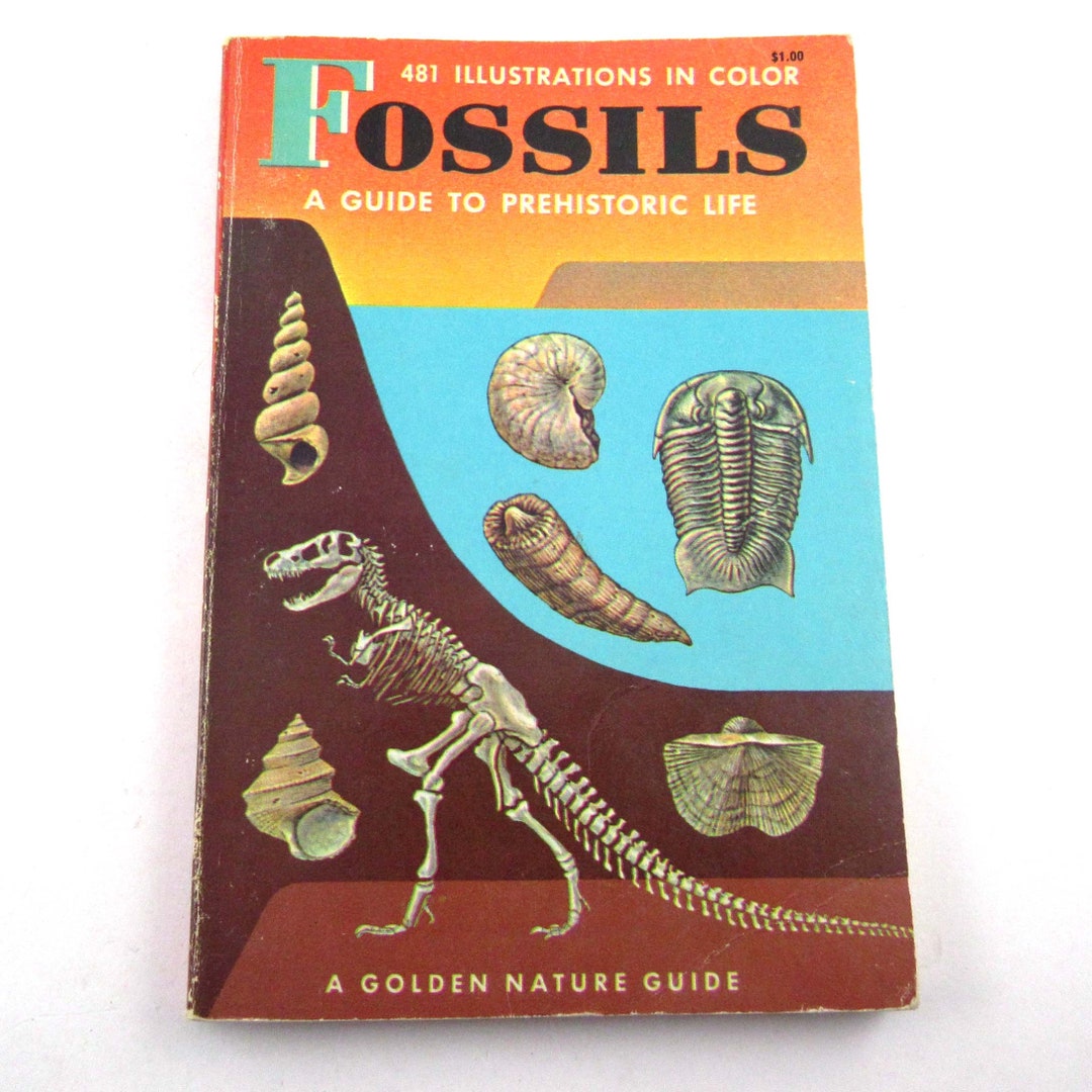 Fossils A Guide to Prehistoric Life Vintage 1960s Guide Book With ...