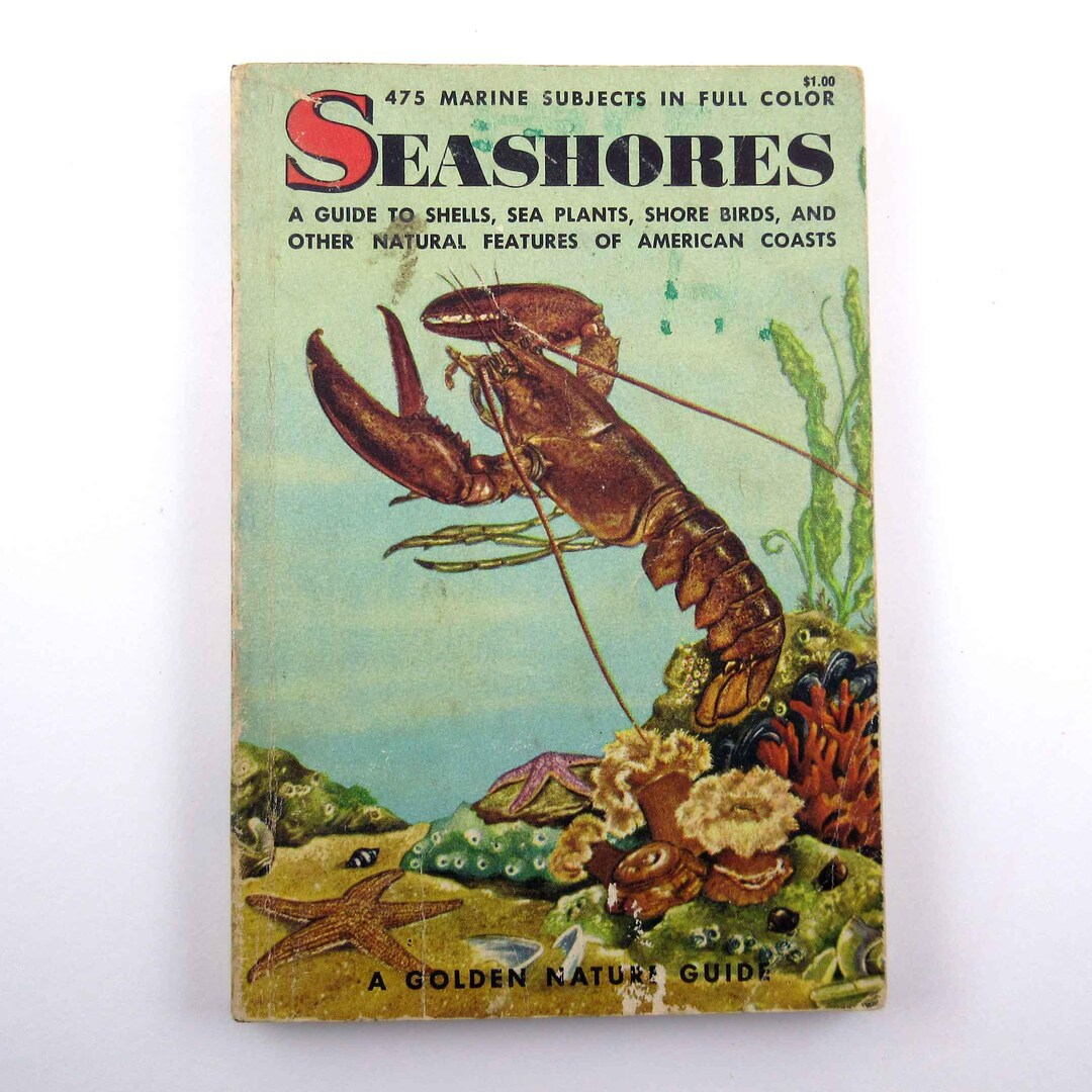 Seashores A Guide to Shells Sea Plants Shore Birds and Other Natural ...