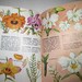 Orchids Vintage 1970s Golden Nature Guide Book by Floyd S. Shuttleworth ...