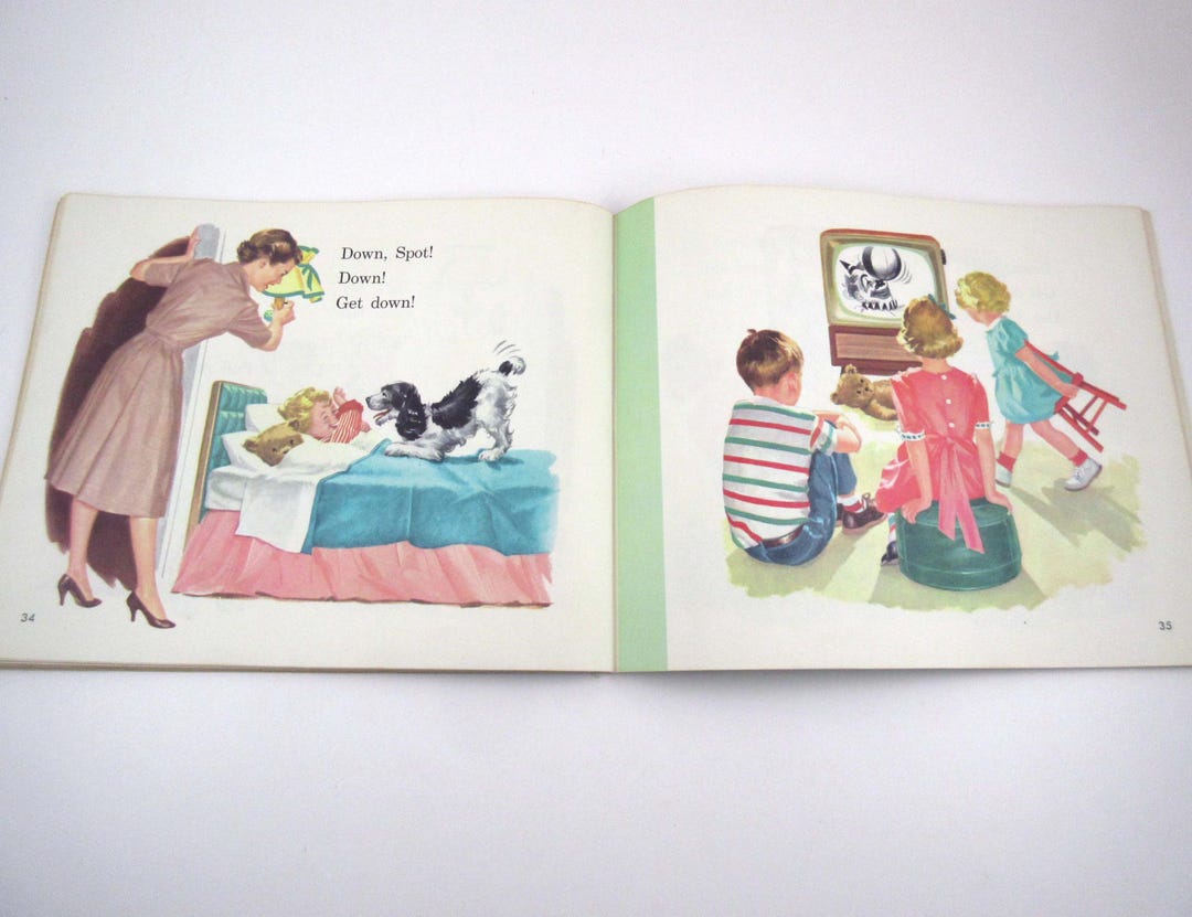 Sally Dick and Jane Vintage 1950s the New Basic Readers School Primer ...