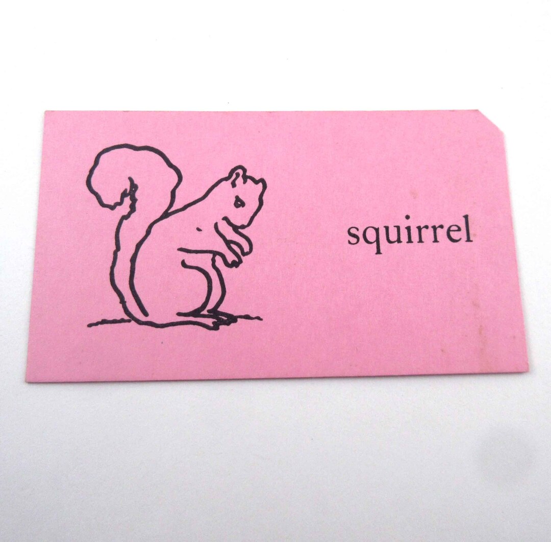 Vintage Children's Pink School Flash Card With Word and - Etsy