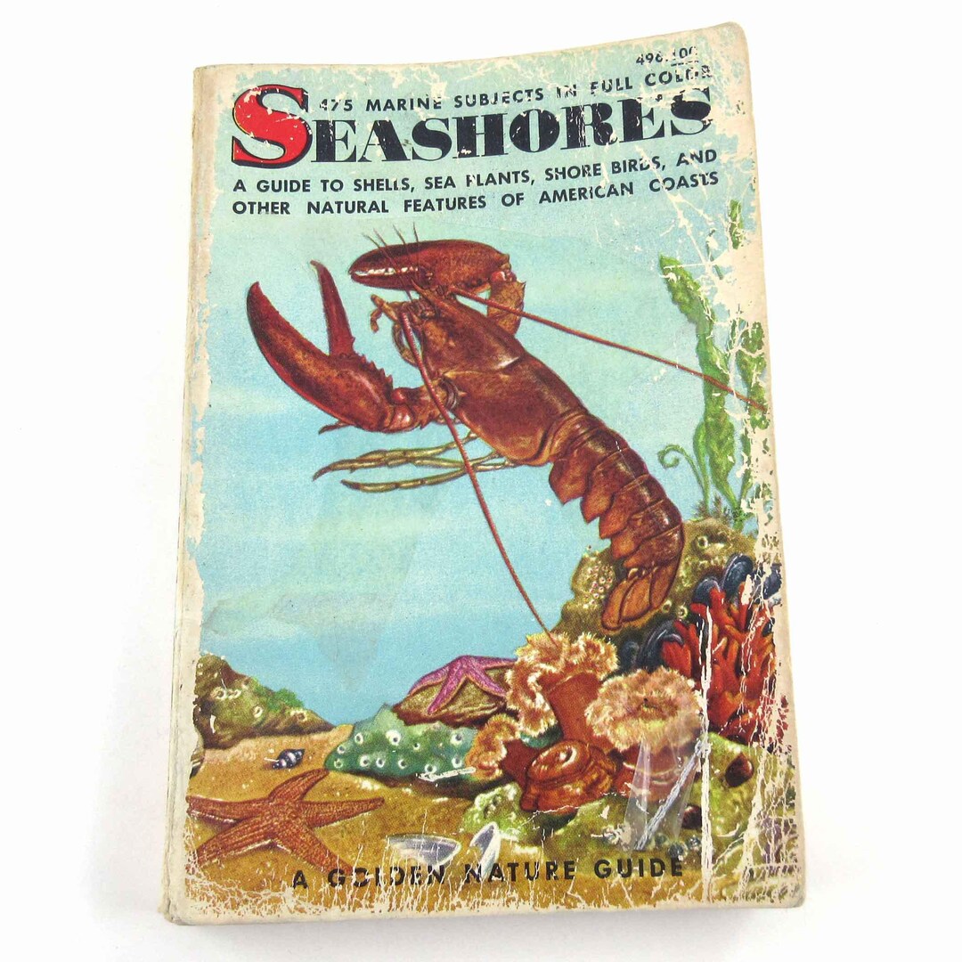 Seashores A Guide to Shells Sea Plants Shore Birds and Other Natural ...