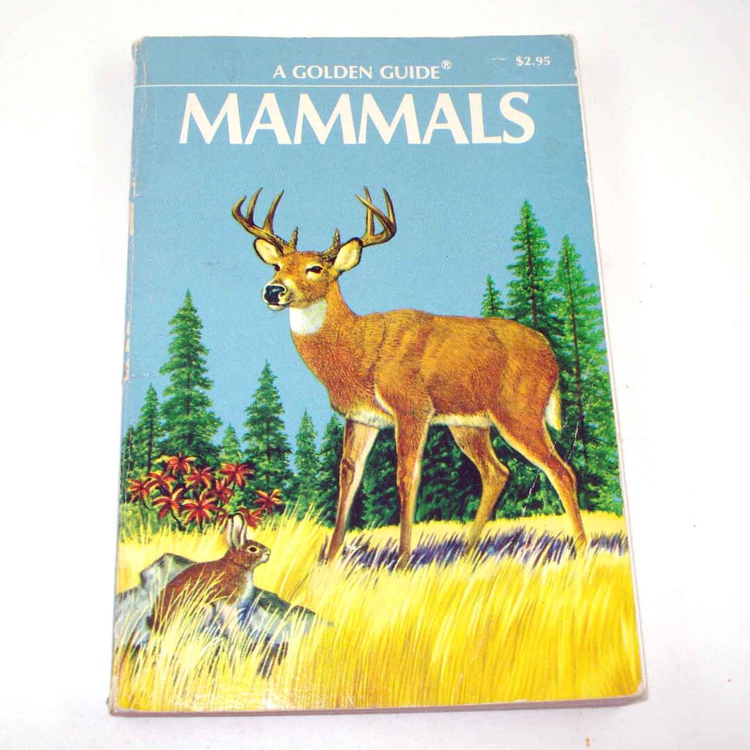 Mammals A Guide to Familiar American Species Vintage 1950s Guide Book ...