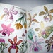 Orchids Vintage 1970s Golden Nature Guide Book by Floyd S. Shuttleworth ...
