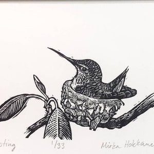 Hummingbird Engraving - Original Print - Hummingbird Gift - Hummingbird ...