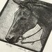 Western Mule Print - Country Decor - Mule Print - Original Wood ...