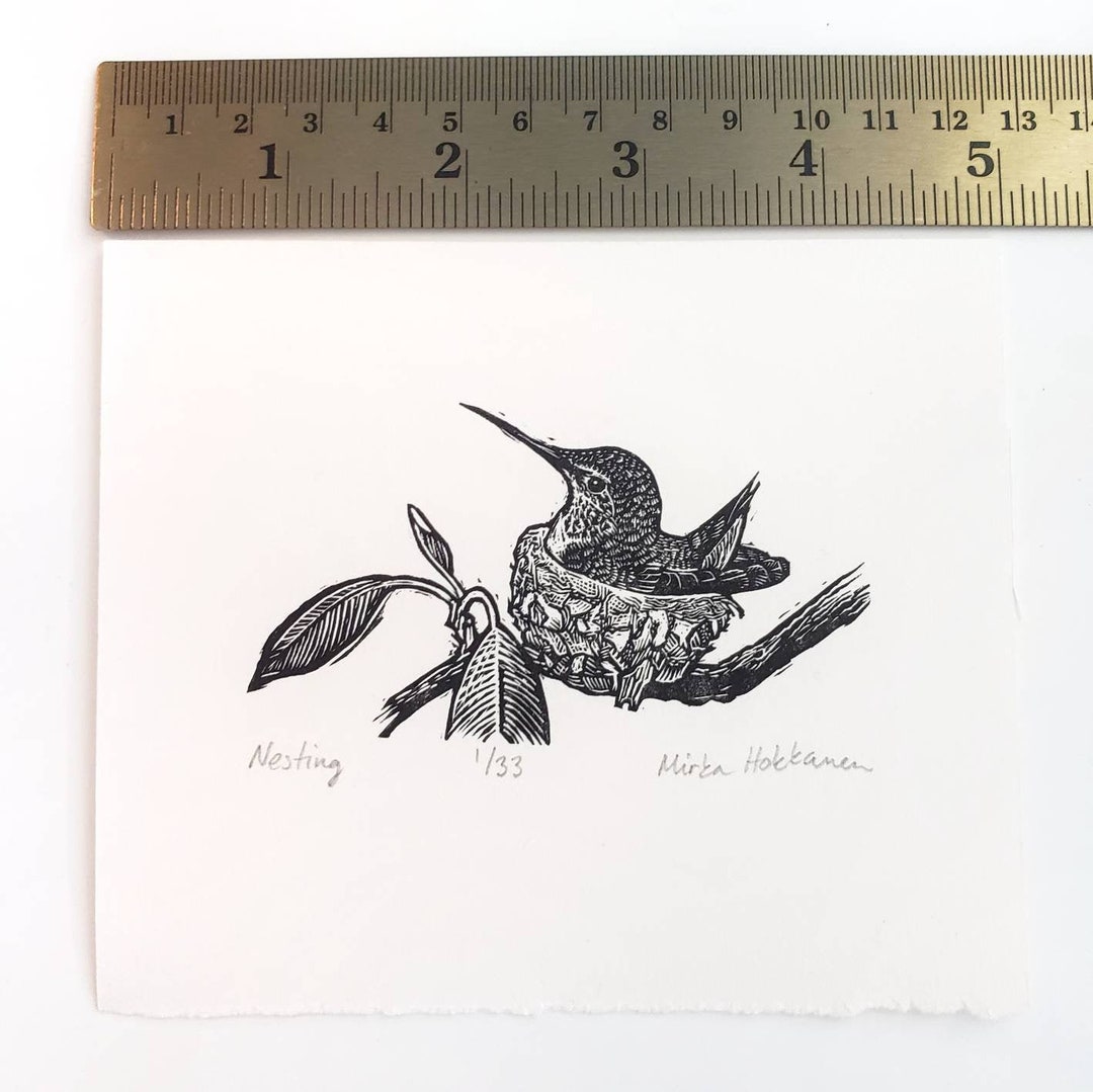 Hummingbird Engraving - Original Print - Hummingbird Gift - Hummingbird ...
