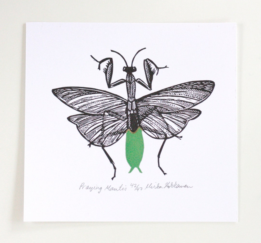 Praying Mantis Lino Cut - Original Linoleum Print - Insect Print ...