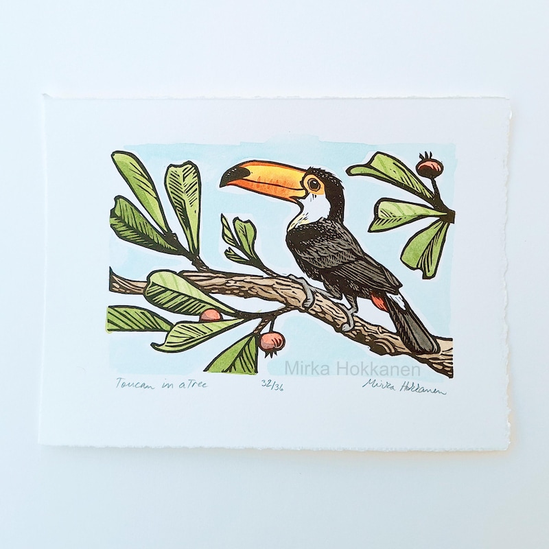 ShopPicaDoodlePress - Etsy