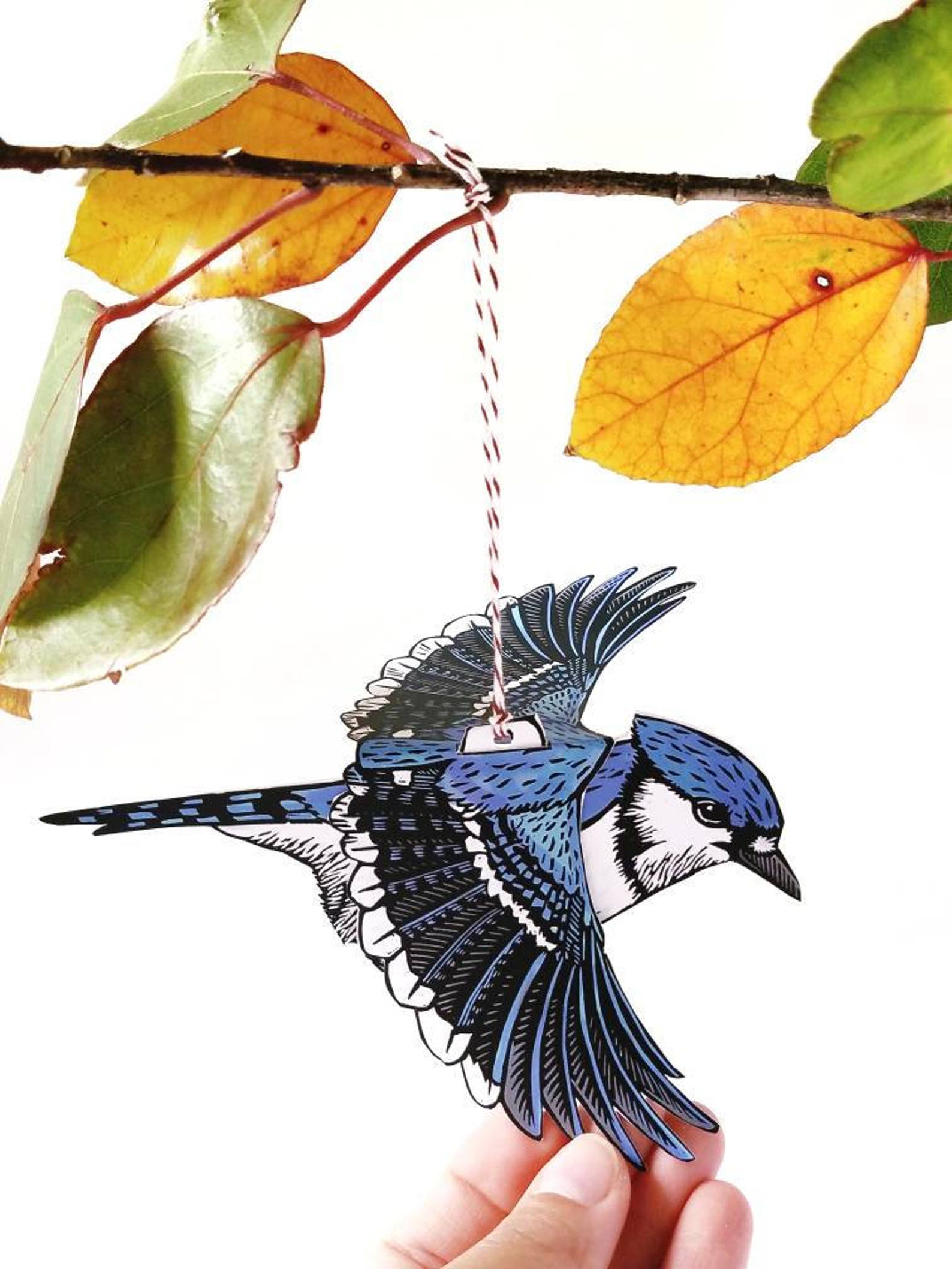 Bluejay Bird Mobile, Paper Art, Diy Craft, Paper Craft, Bird Craft ...