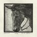 Western Mule Print - Country Decor - Mule Print - Original Wood ...