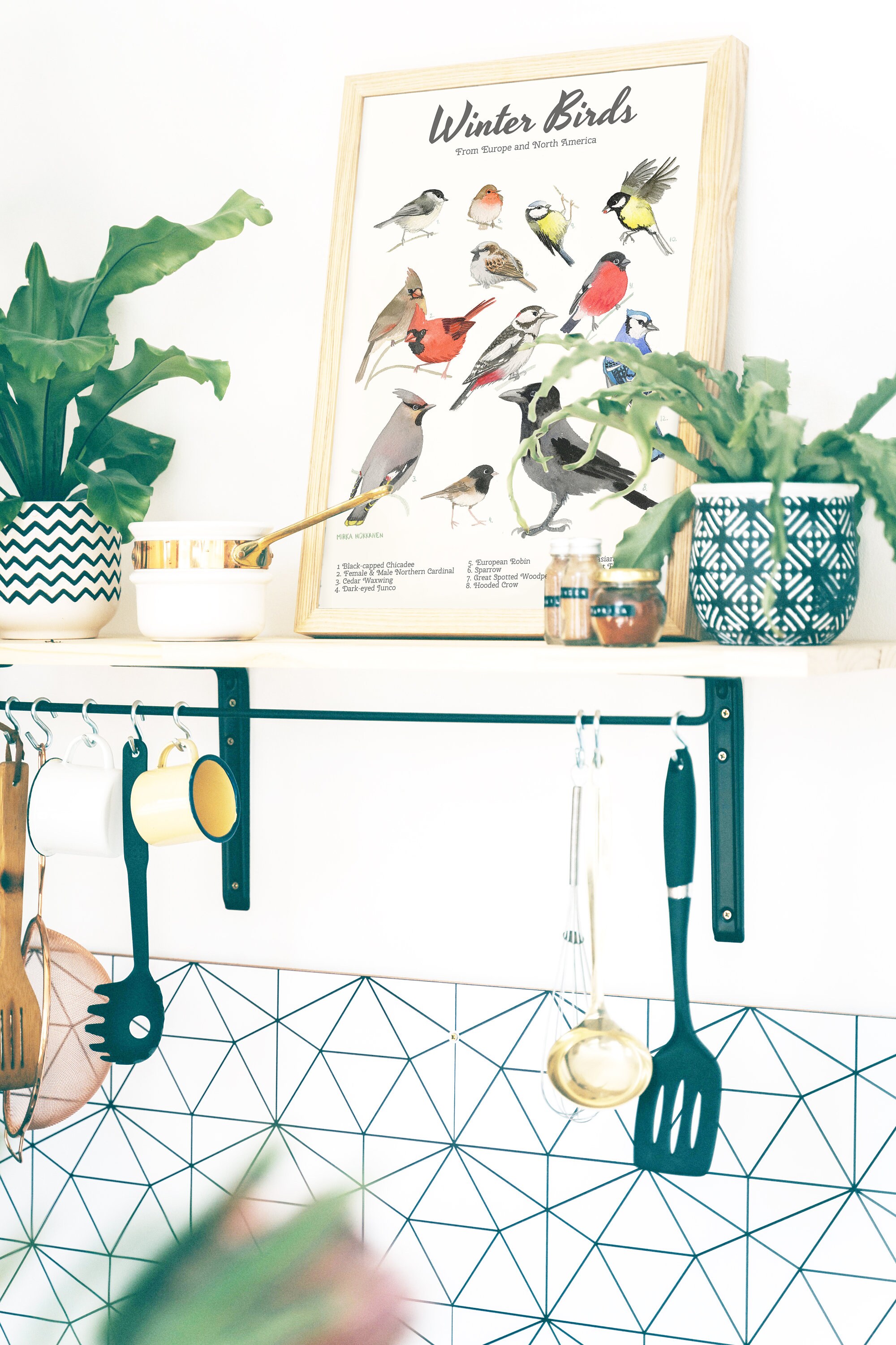 Birds Downloadable Prints Watercolor Bird Art Montessori Educational ...