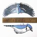 Bluejay Bird Mobile, Paper Art, Diy Craft, Paper Craft, Bird Craft ...
