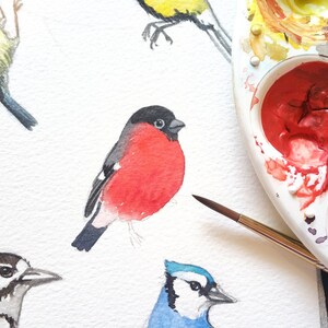 Birds Downloadable Prints Watercolor Bird Art Montessori Educational ...