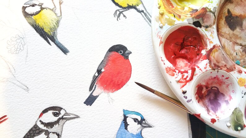 Birds Downloadable Prints Watercolor Bird Art Montessori Educational ...