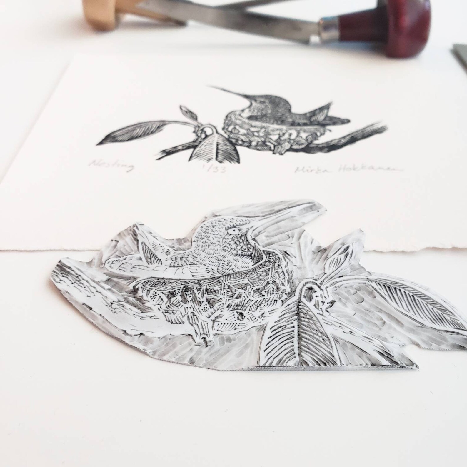 Hummingbird Engraving Original Print Hummingbird Gift Hummingbird Art ...