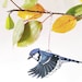Bluejay Bird Mobile, Paper Art, Diy Craft, Paper Craft, Bird Craft ...