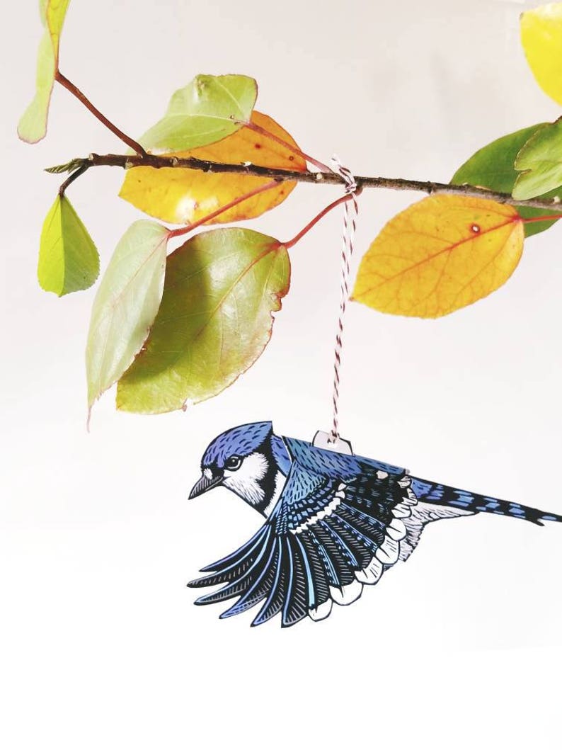 Bluejay Bird Mobile, Paper Art, Diy Craft, Paper Craft, Bird Craft ...