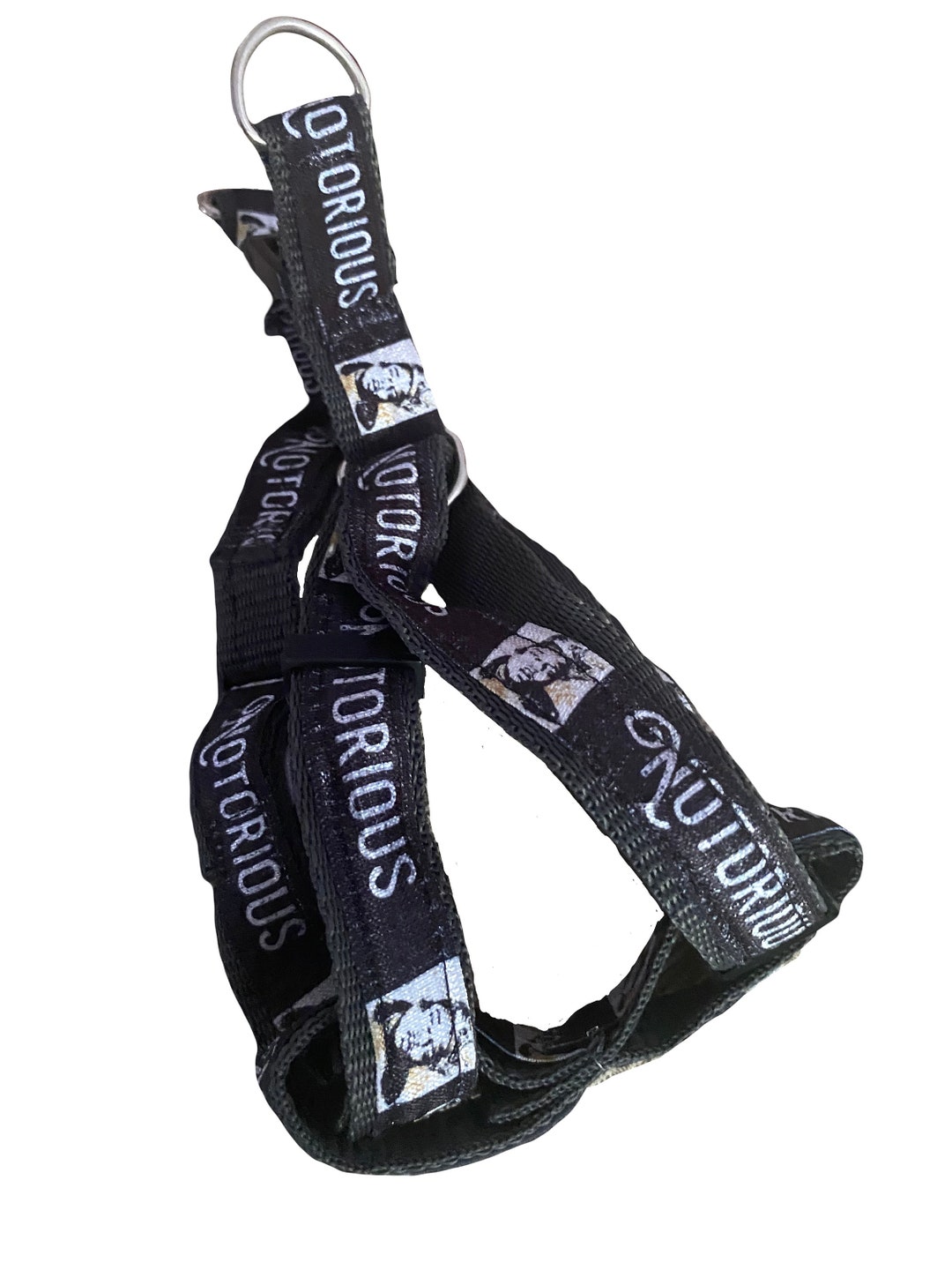 Rapper Smalls Dog Collar Adjustable Small Breed School Rap Hip Hop ...