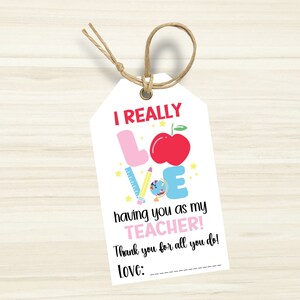 Printable Teacher Appreciation Day Gift Tag, Thank You Gift Tag ...
