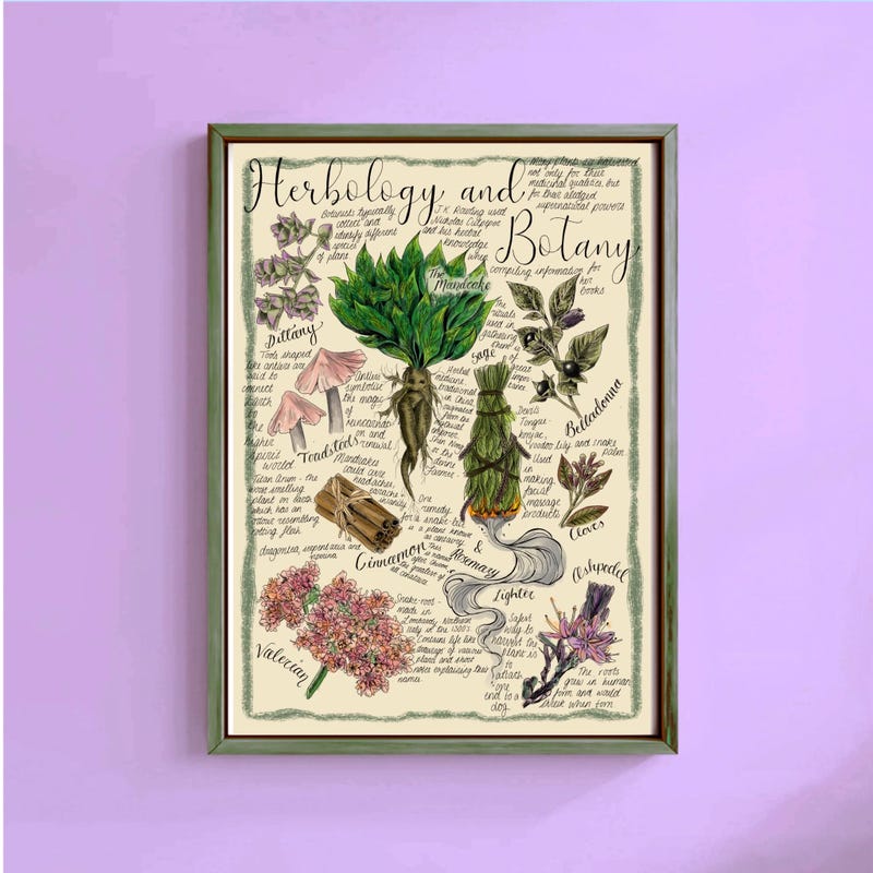 Herbology - Etsy