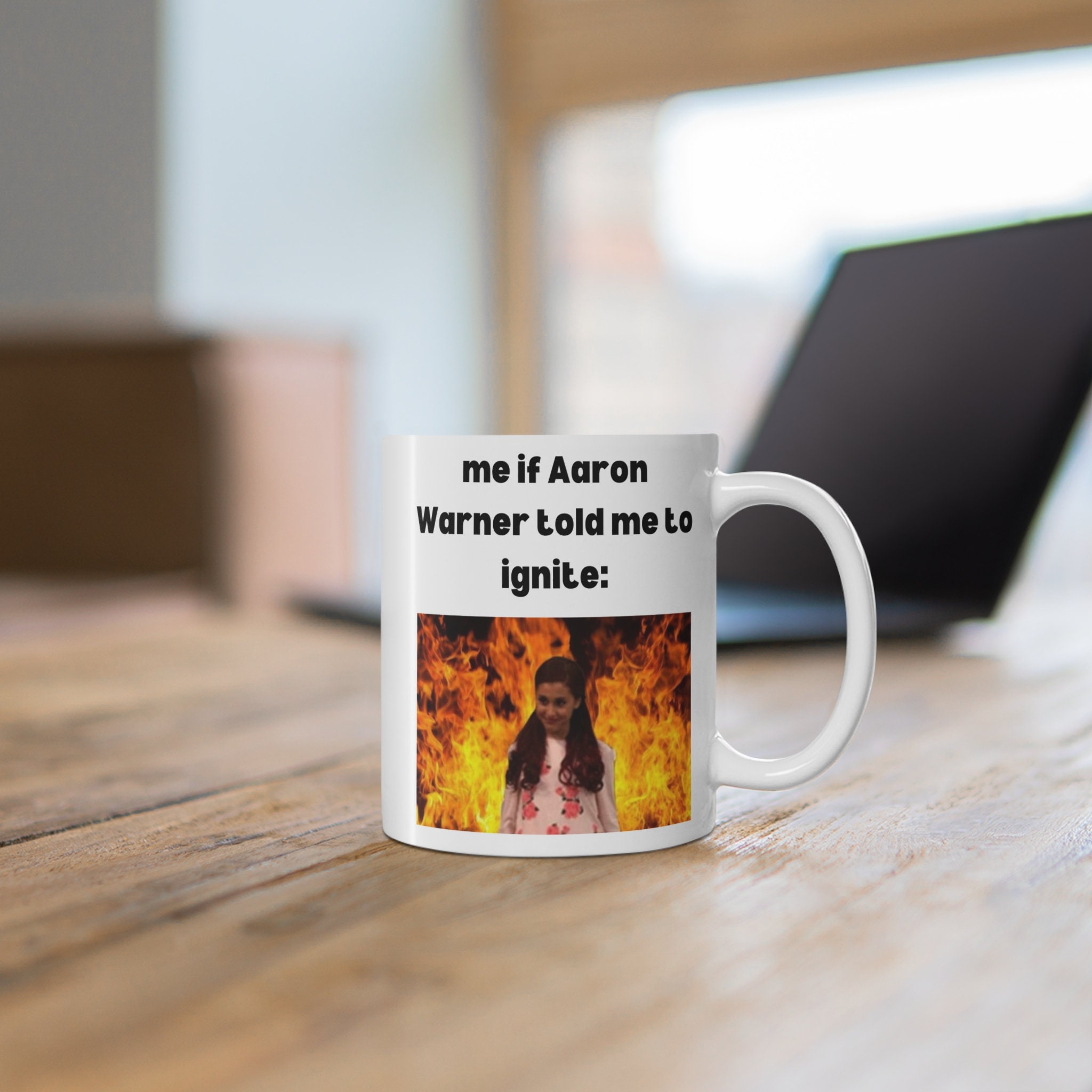 Aaron Warner Funny Ignite 11 Oz Mug From Shatter Me Book Series / Ignite Me as Gift for Shatter ...