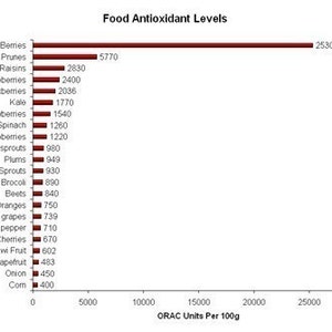 Goji Seeds - 1000 Certified Organic GOJI Berry Seeds From China - Etsy