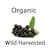 Maqui Seeds - 15 Organic Wild Harvested Maqui / Chilean Wineberry ...