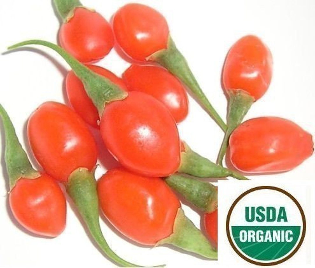 Goji Seeds - 1000 Himalayan USDA Organic GOJI Berry Seeds - Etsy