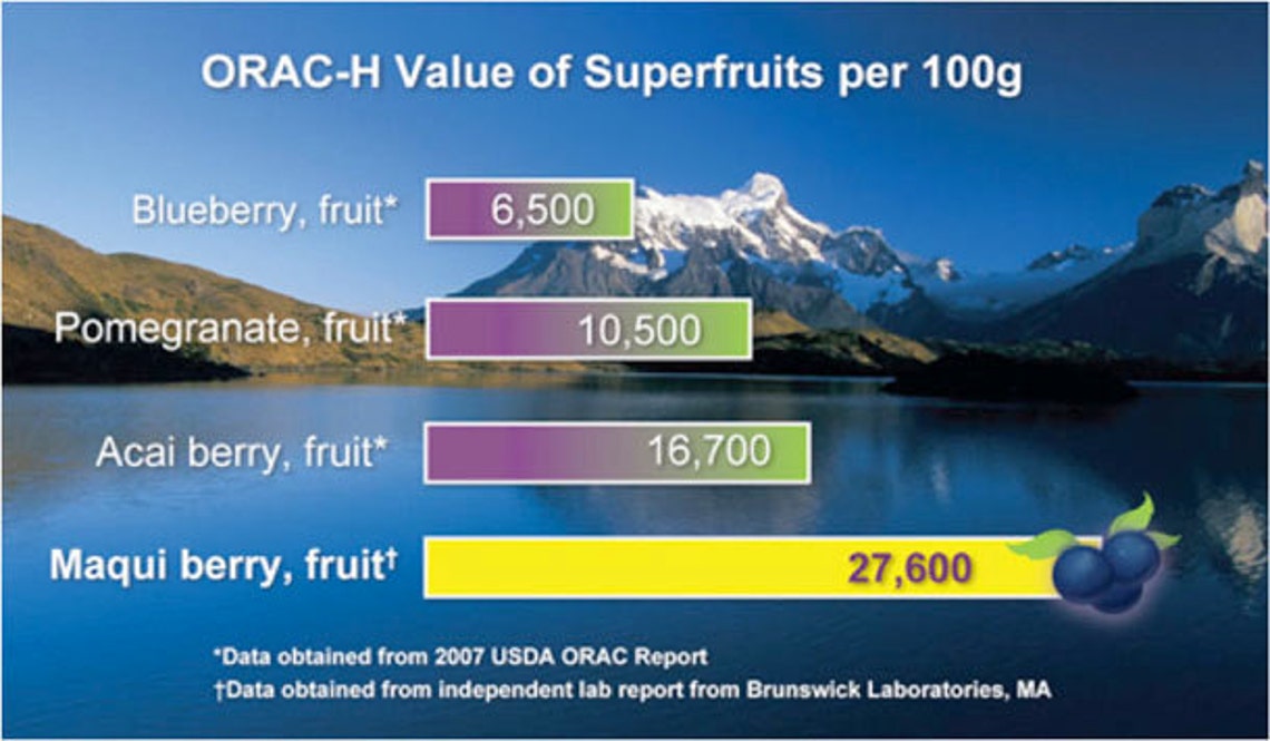 Maqui Seeds - 15 Organic Wild Harvested Maqui / Chilean Wineberry ...