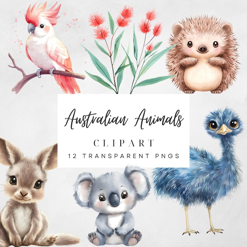 Australian Animal Clipart Designs | 12 Unique Clipart Featuring ...