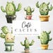 14 Boho Cactus Clipart Illustrations Watercolor Desert Cactus Pngs Cute ...