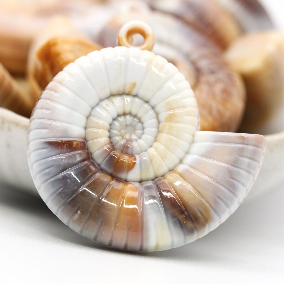 Acrylic Sea Shell Beads Pendants Nautilus Marbled Brown Tan Beige ...