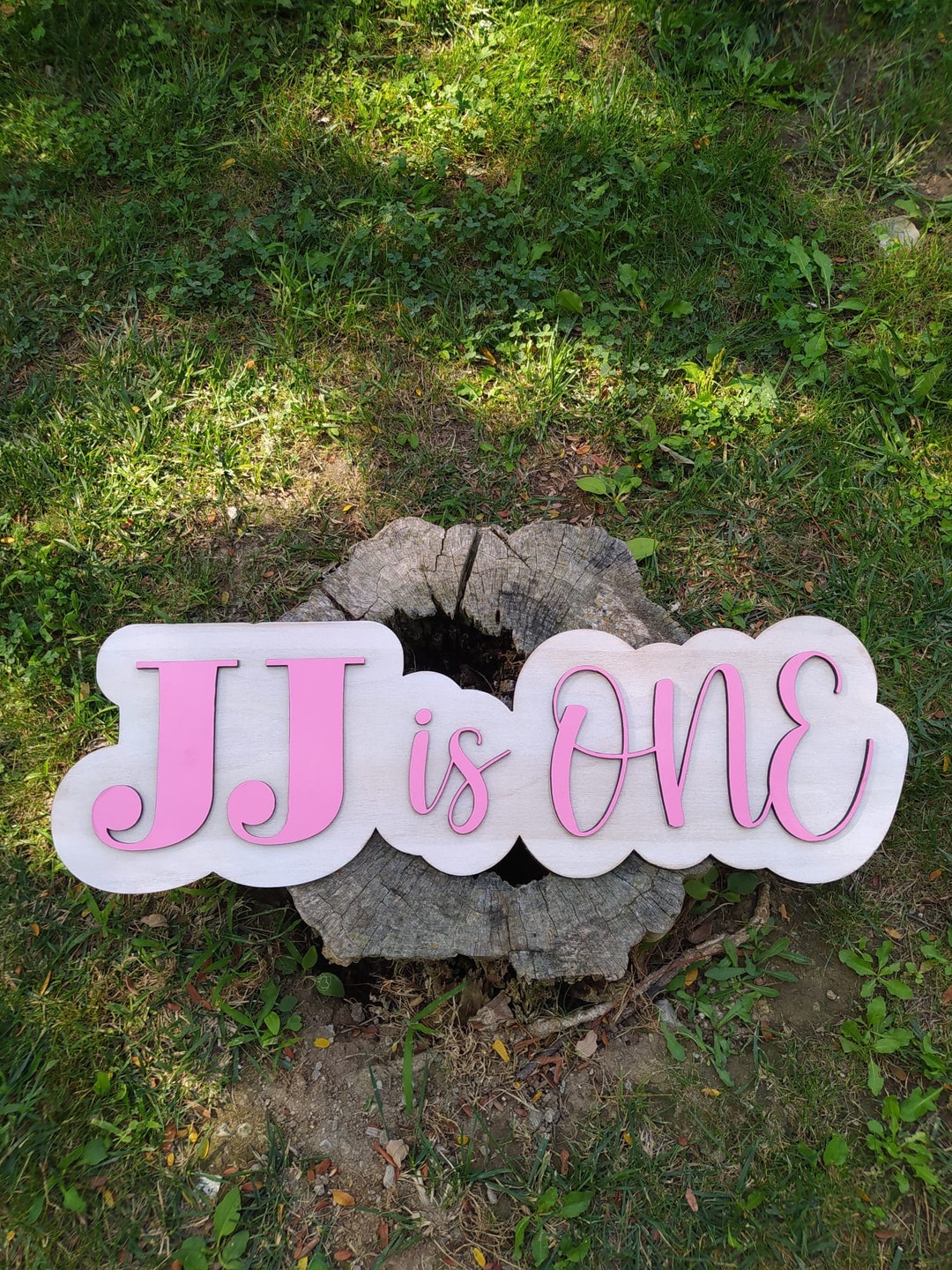 Birthday Sign, Party Decor, 1st Birthday Party Sign, Wall Decor ...