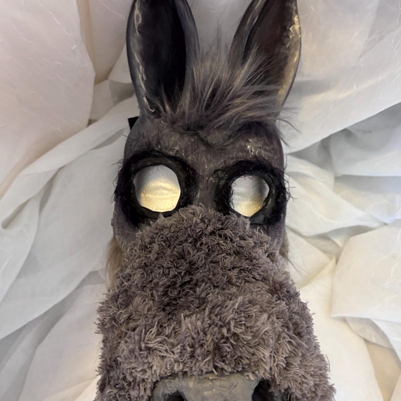 Shrek Donkey Costume Halloween - Etsy