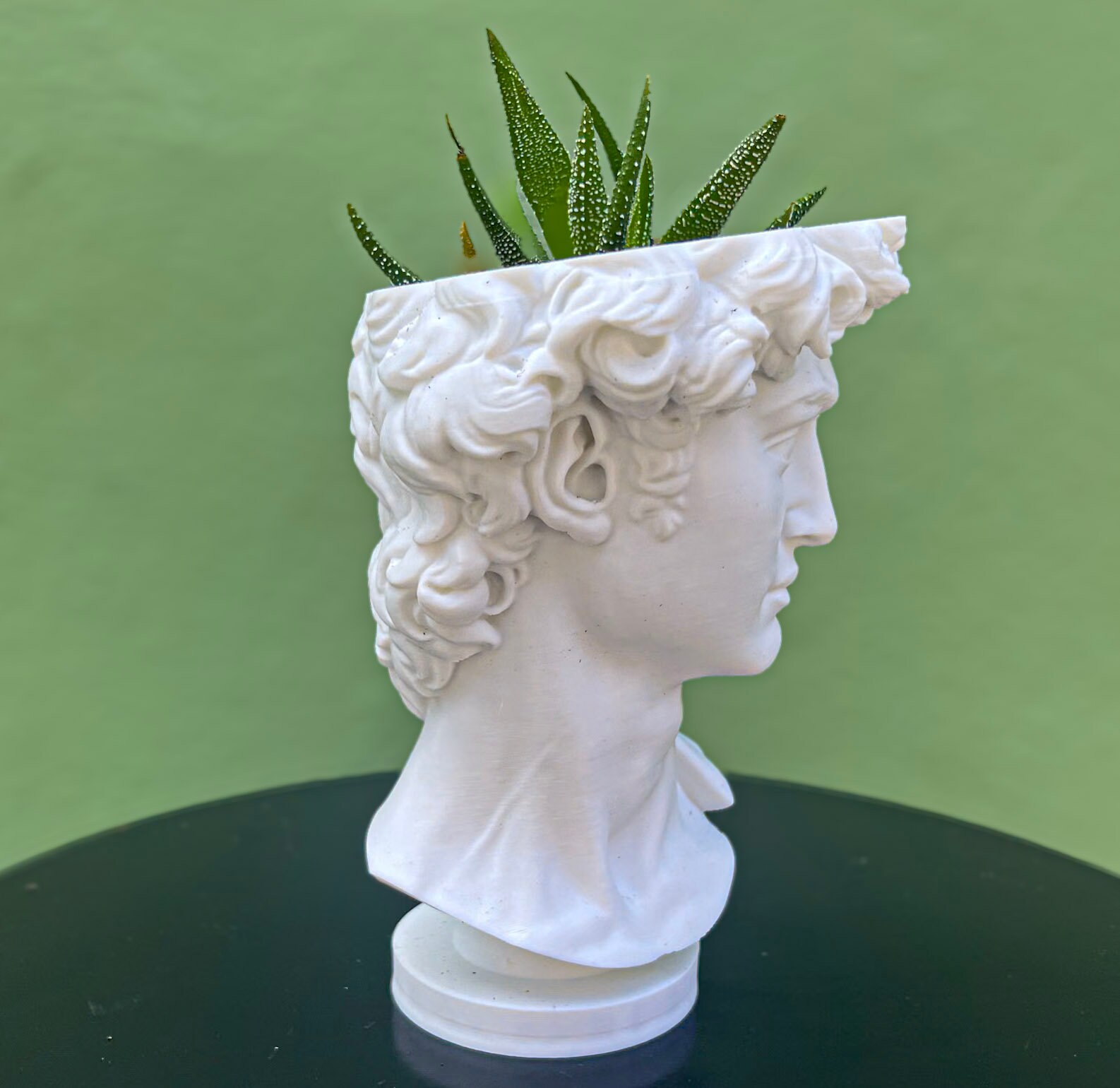 Famous David Statue Head Planter - Etsy