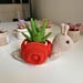 Snail Planter Crochet Pattern PDF, Succulent Plant Pot Cover, Crochet ...