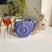 Snail Planter Crochet Pattern PDF, Succulent Plant Pot Cover, Crochet ...