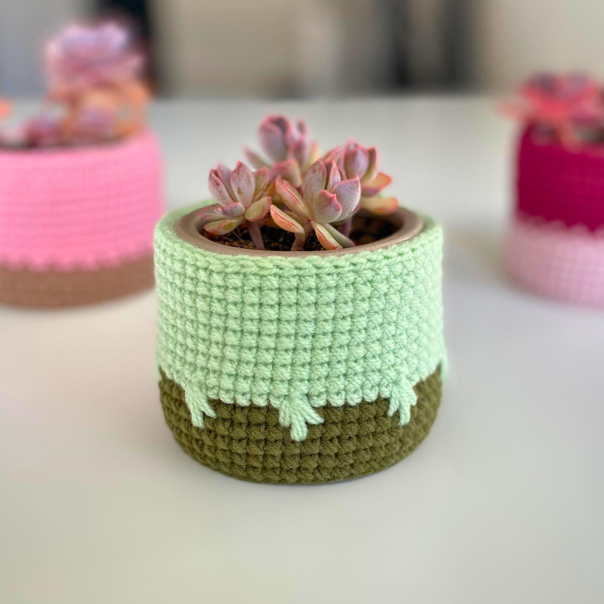 Crochet Planter Pattern Set – 3 Plant Pot Covers, Succulent Planter PDF ...