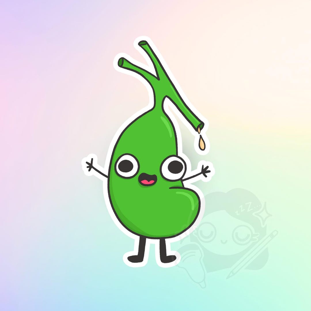 Cute Gallbladder Vinyl Decal - Anatomy, General Surgeon, Medicine ...