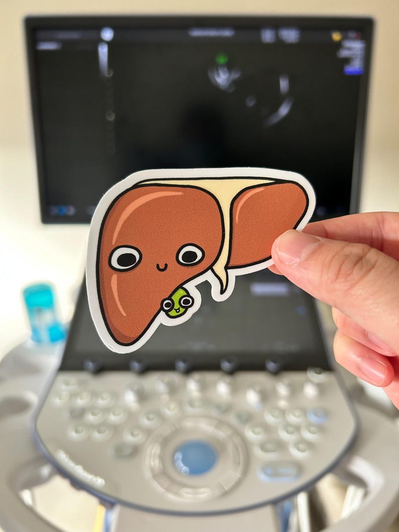 Liver and Gallbladder Vinyl Sticker - Biliary System, Medical Decal ...