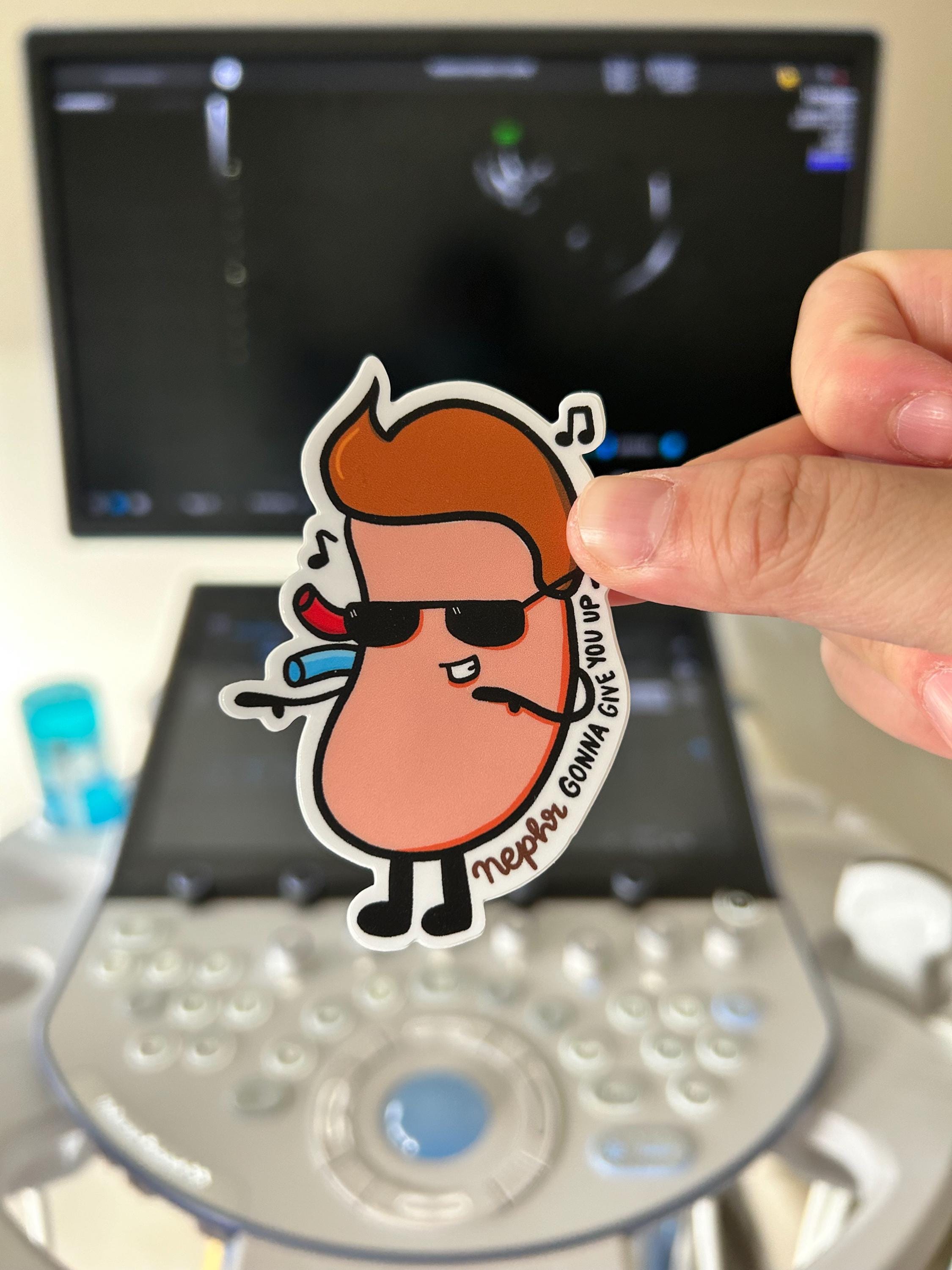 Nephr Gonna Give You up Vinyl Decal - Nephrology, Urology, Kidneys ...